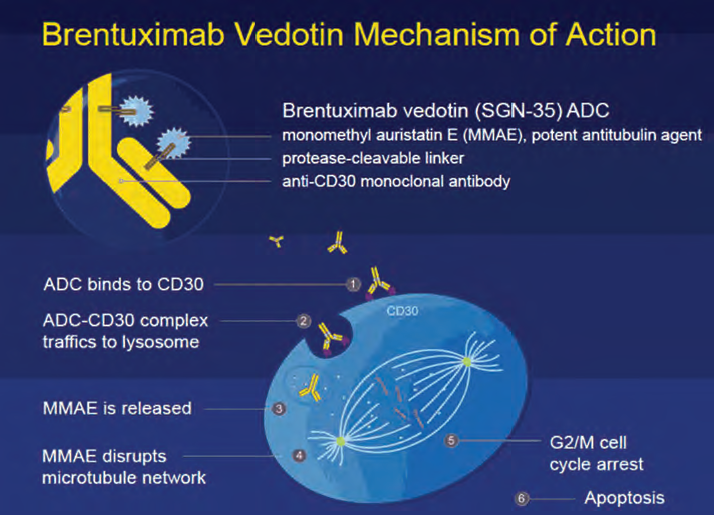 Fachinfo Brentuximab – Brentuximab Vedotin Zulassung – OVSKI